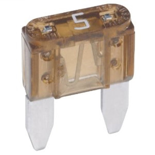 Champion 5Amp Mini Blade Fuse Tan -15Pk