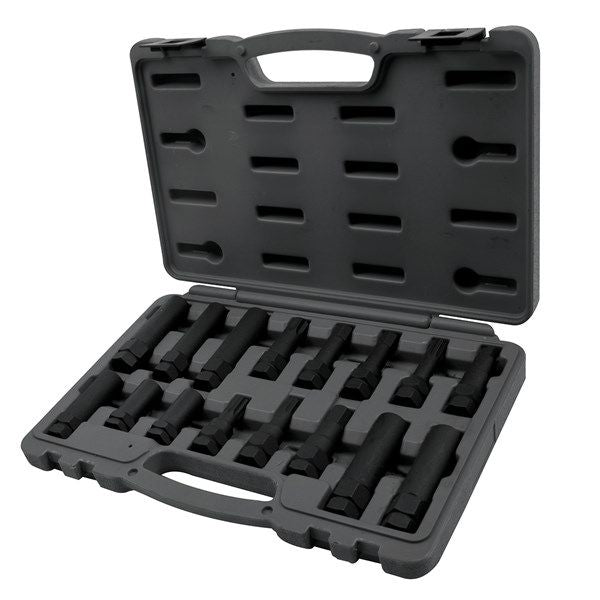 Toledo Wheel Lock Nut Master Set 16Pc